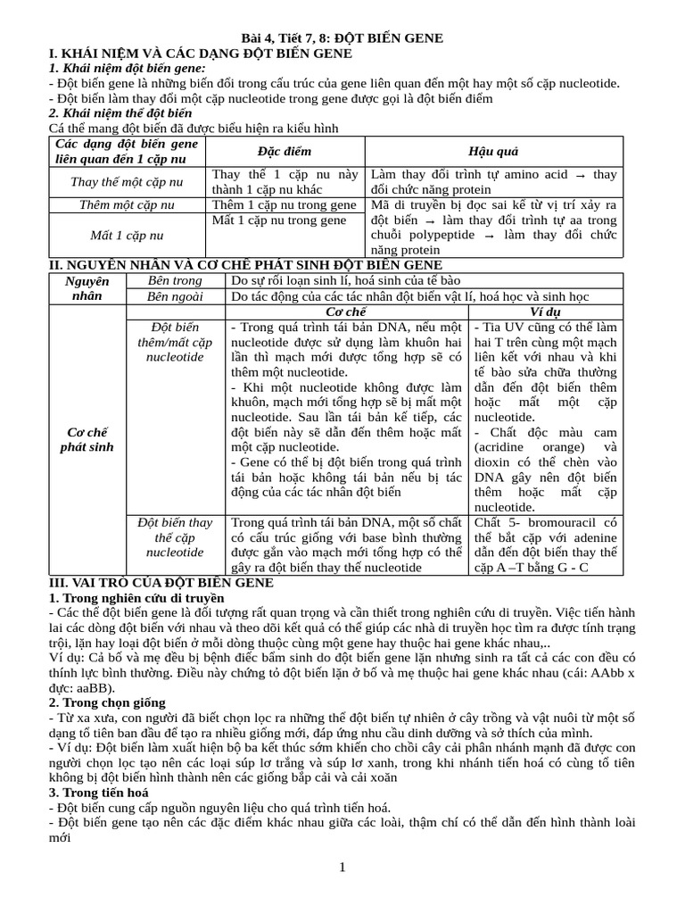 BÀI 4 (7,8) ĐỘT BIẾN GENE - KNTT | PDF