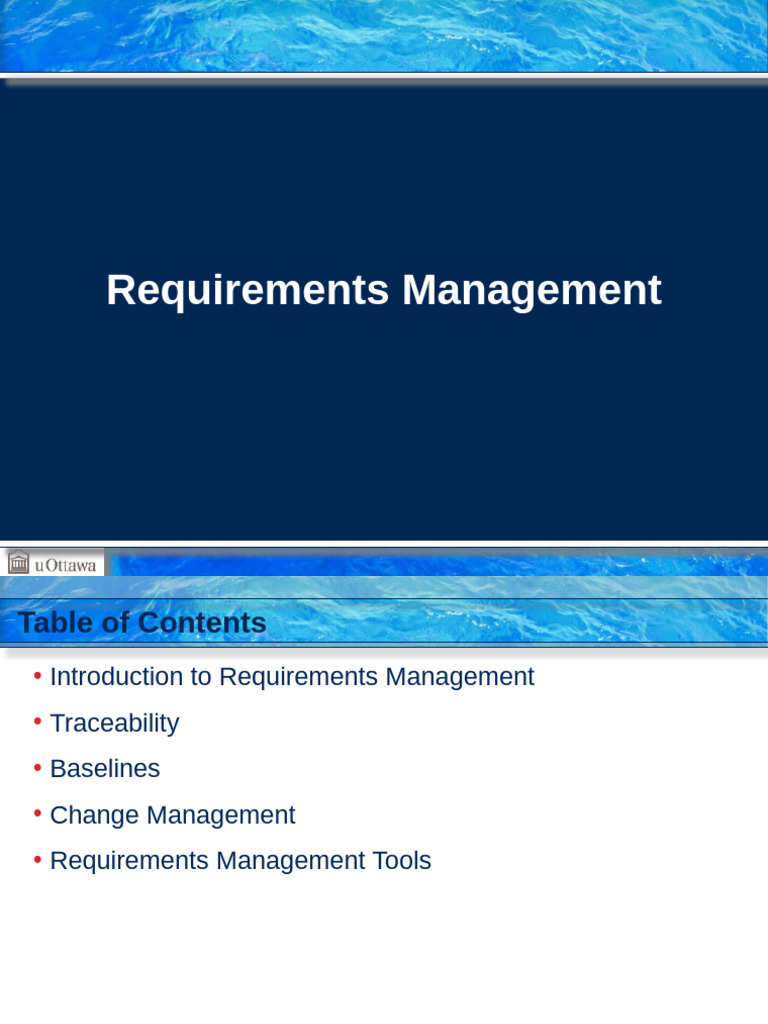 Requirements Management Guide | PDF | Software Engineering | Computing