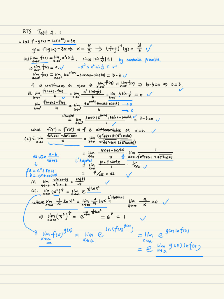 Calculus Limits and Continuity Analysis | PDF