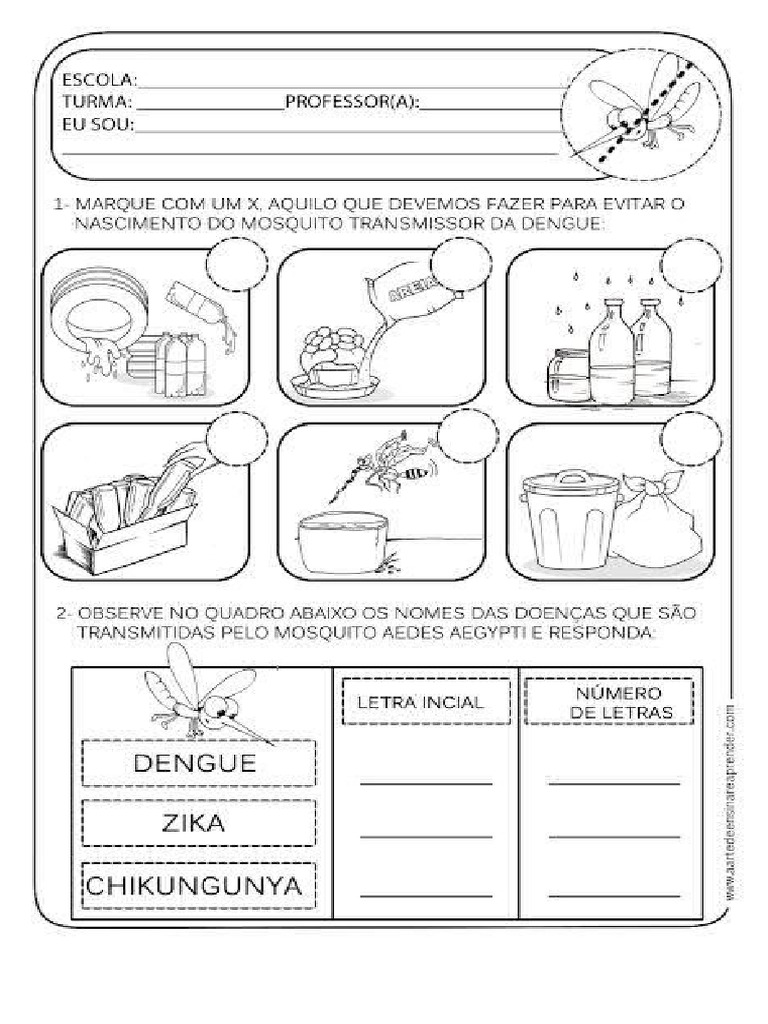 Fichas Del Dengue | PDF