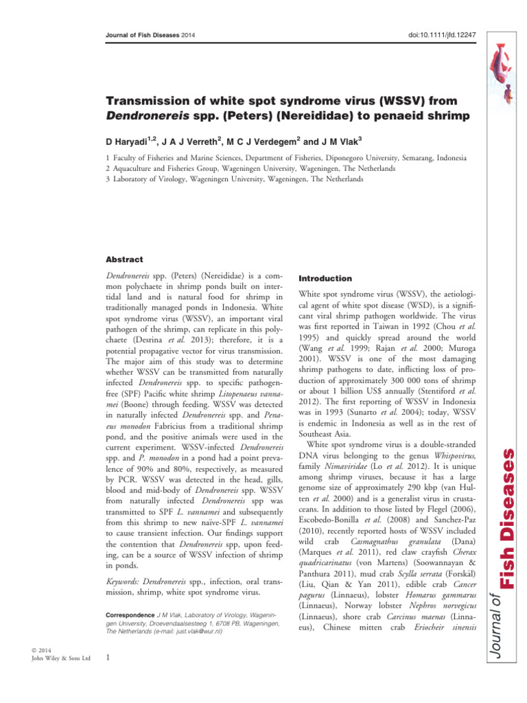 Transmission of White Spot Syndrome Virus (WSSV) From | PDF | Infection | Virus