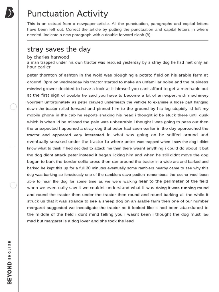 Spelling and Punctuation Punctuation Correction Activity Sheet - Ver - 4 | PDF