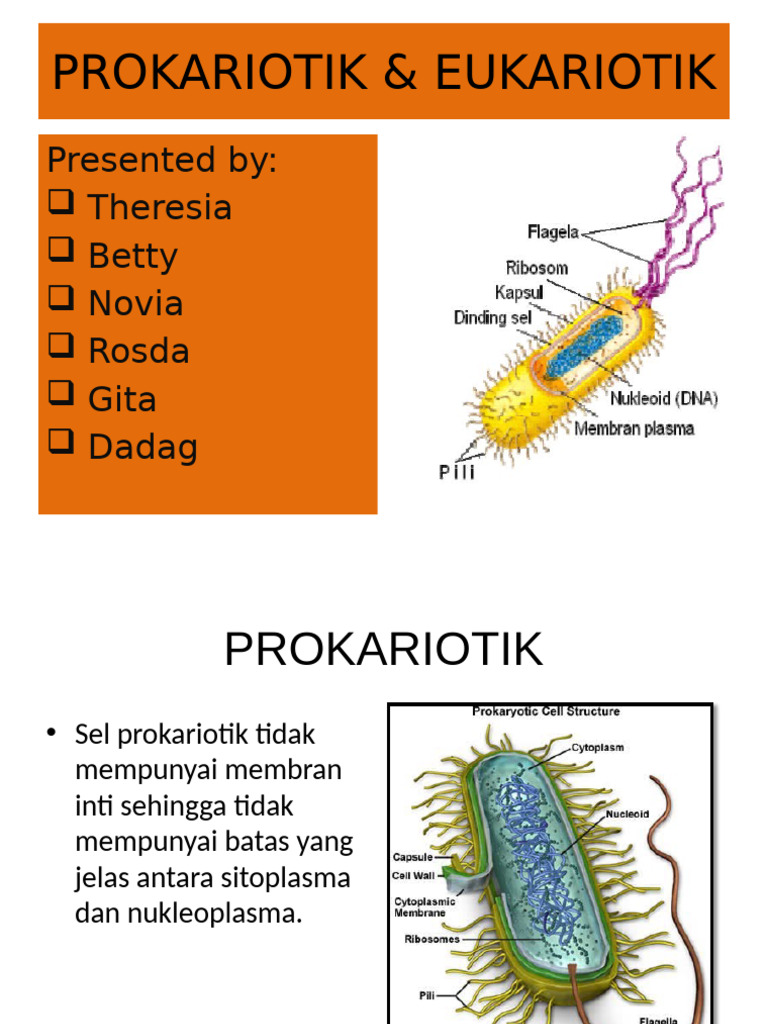 Perbandingan Sel Prokariotik dan Eukariotik | PDF
