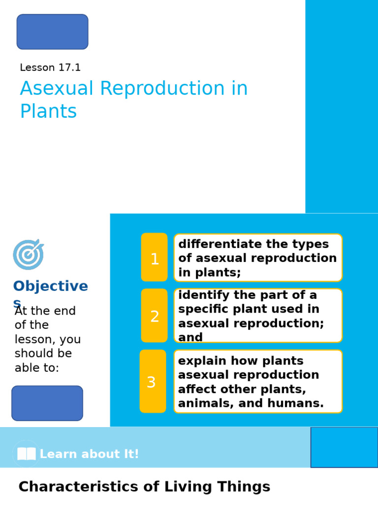 Asexual Reproduction in Plants | PDF | Reproduction | Plants