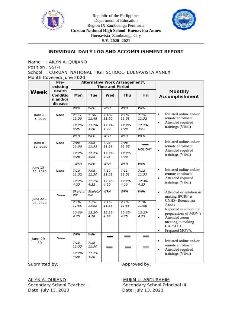 Daily Log and Accomplishments Report | PDF
