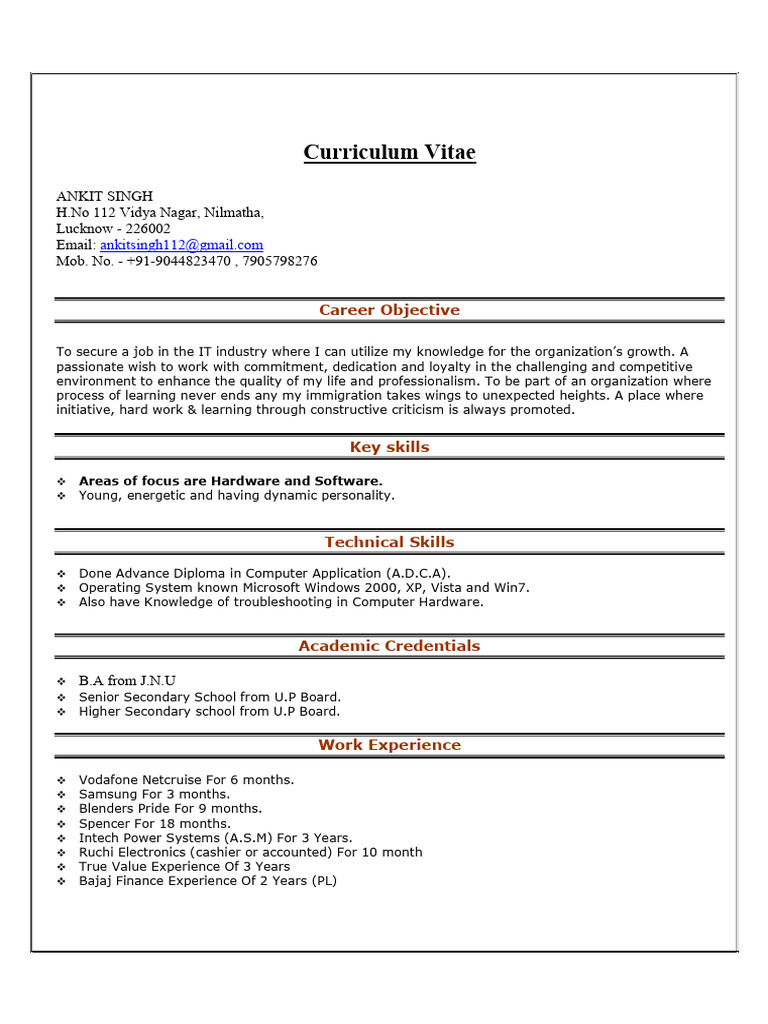 Ankit CV | PDF