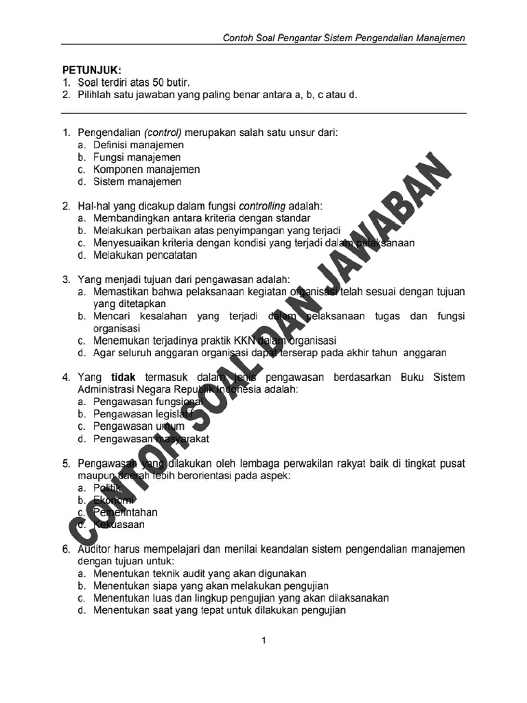 Soal SKB Auditor | PDF