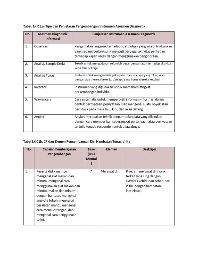 Langkah Langkah Membuat Instrumen | PDF