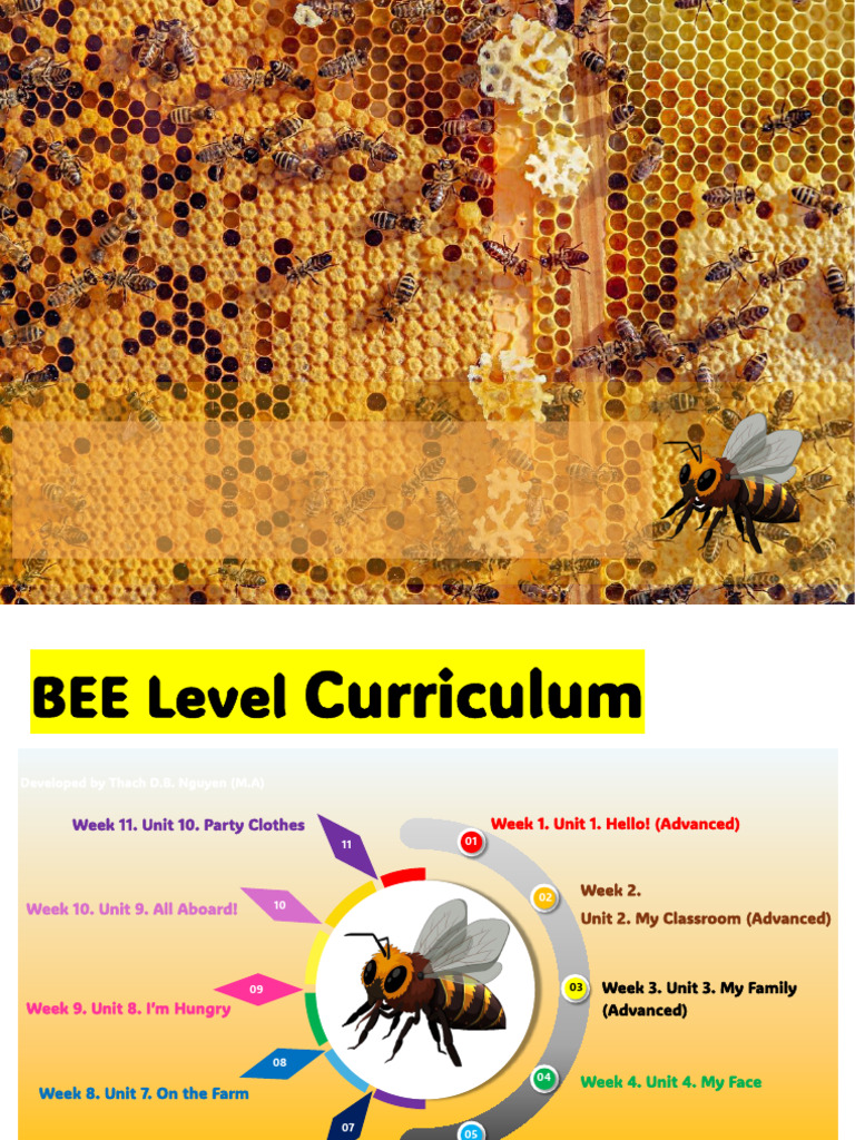 Class BEE | PDF | Classroom | Phonics