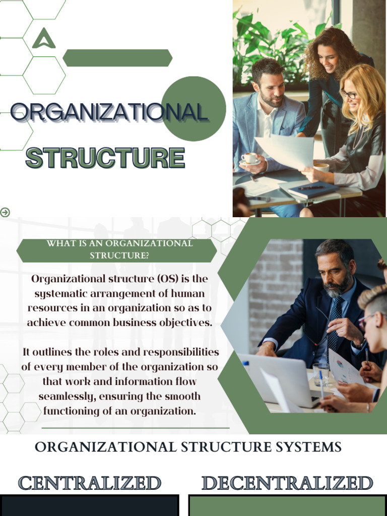 Organizational Structure - Practice Teaching Lecture | PDF ...