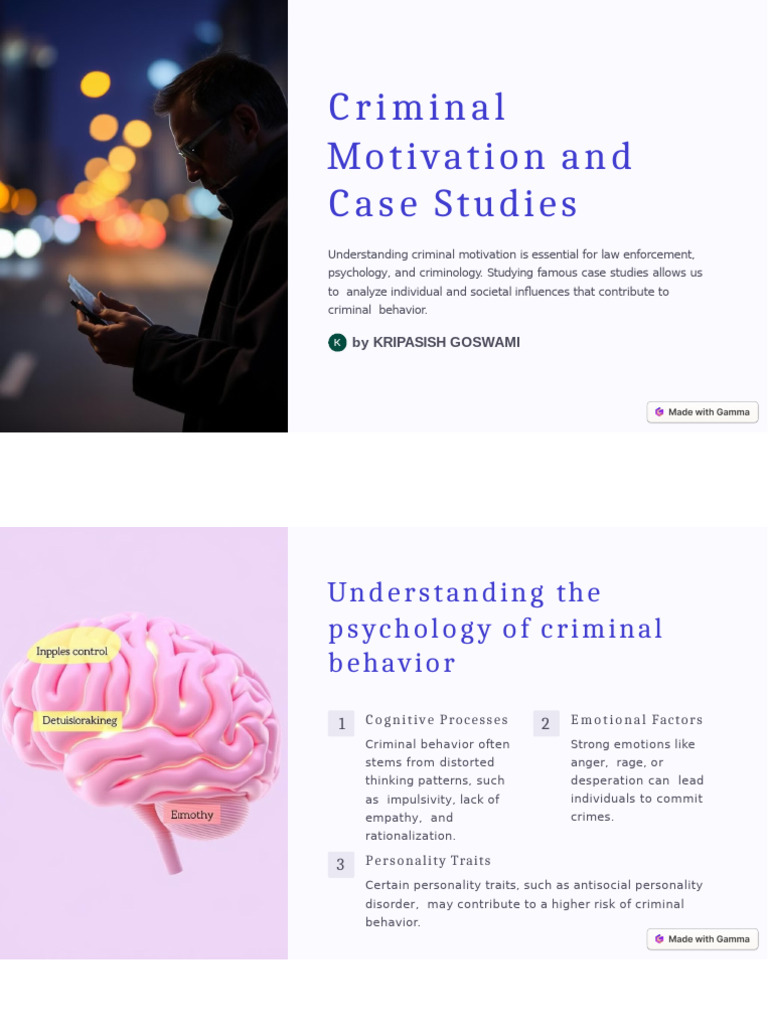 Understanding Criminal Motivation and Behavior | PDF | Crimes | Crime ...