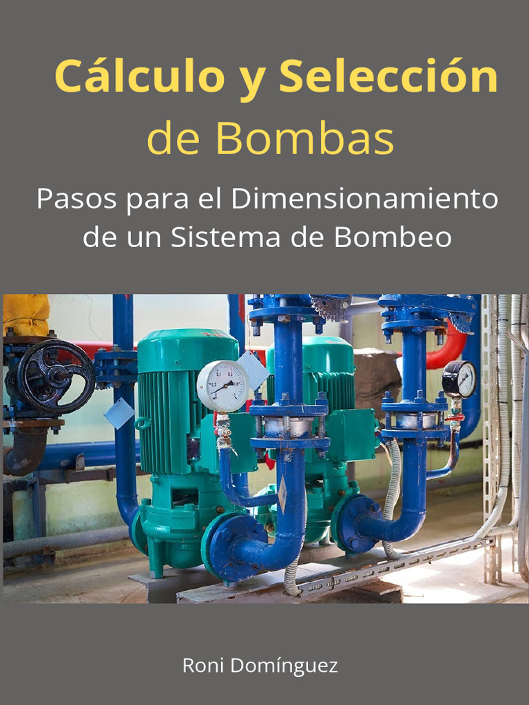 Bono 1 - Calculo para La Seleccion de Bombas PDF | PDF | Bomba | Rodamiento (Mecánico)
