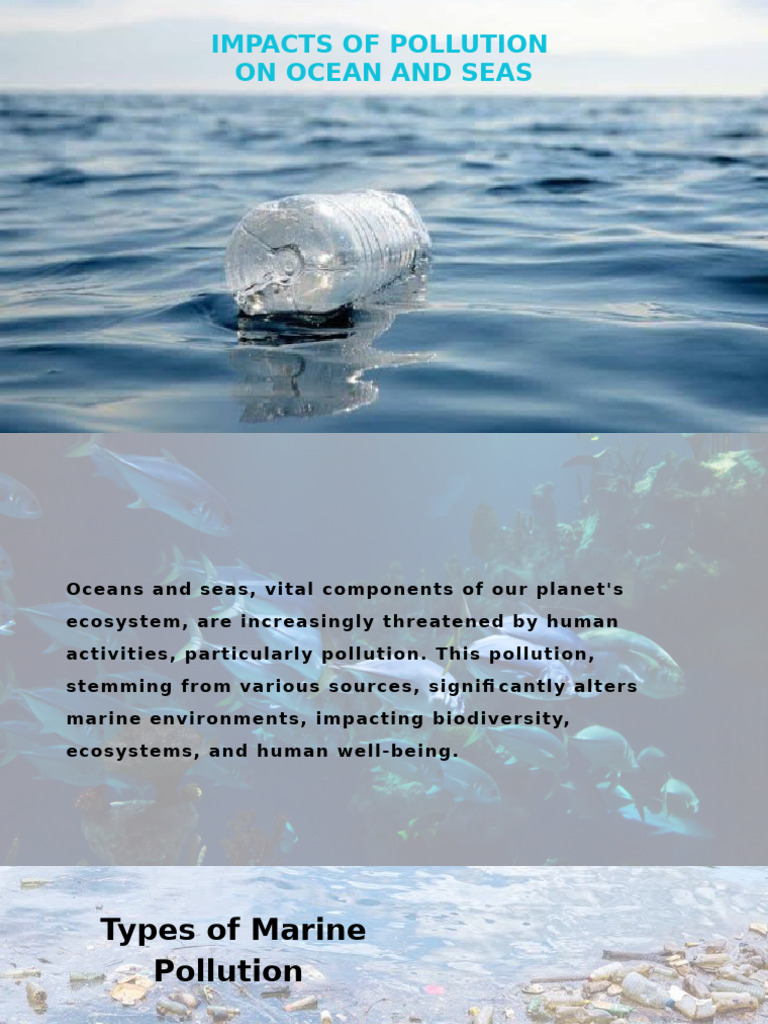 Impacts of Pollution On Ocean and Seas - 20241119 - 144724 - 0000 | PDF ...