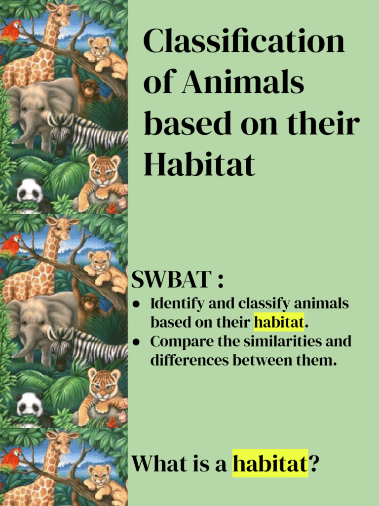 Classification of Animals Based On Their Habitat | PDF | Amphibian ...