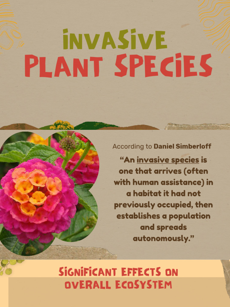 Invasive Plants Species | PDF