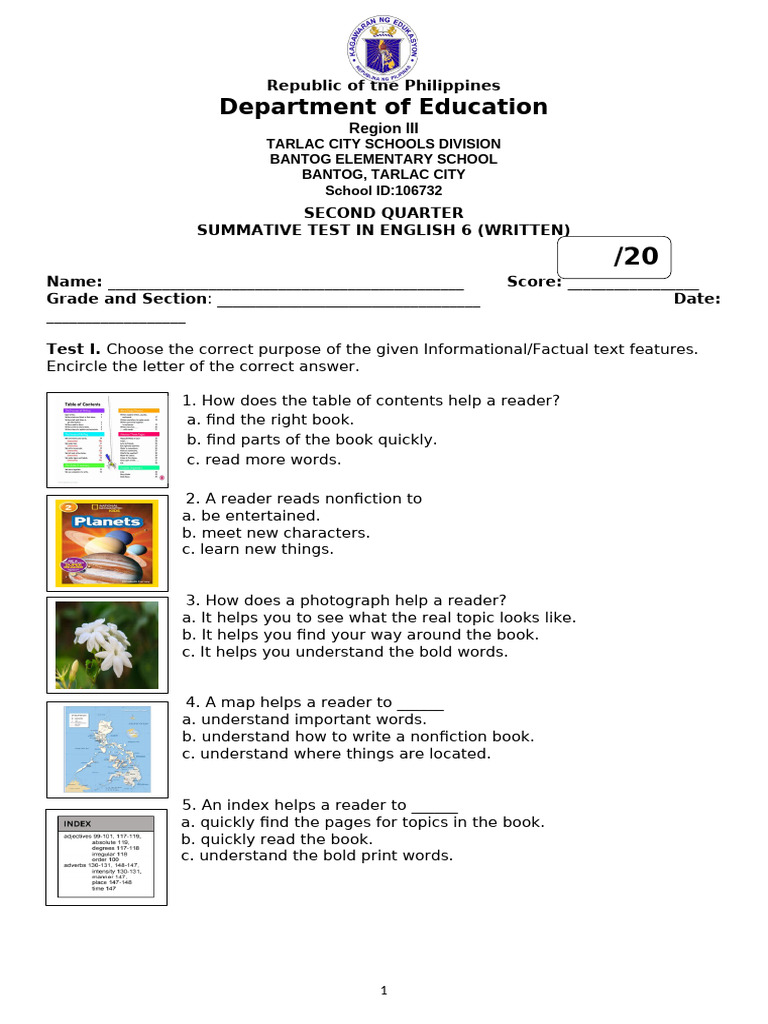 Summative Test for Grade 6 English | PDF | Invertebrate | Books