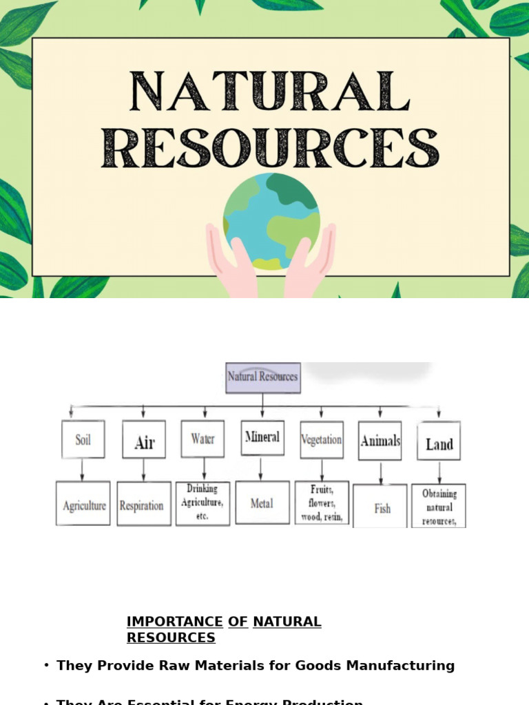 Importance of Natural Resources Explained | PDF