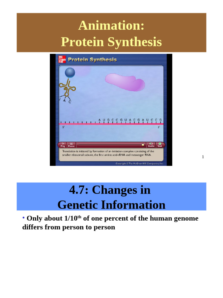 Chapt04 Part 4-B Holes Lecture Animation JWT | PDF | Mutation ...