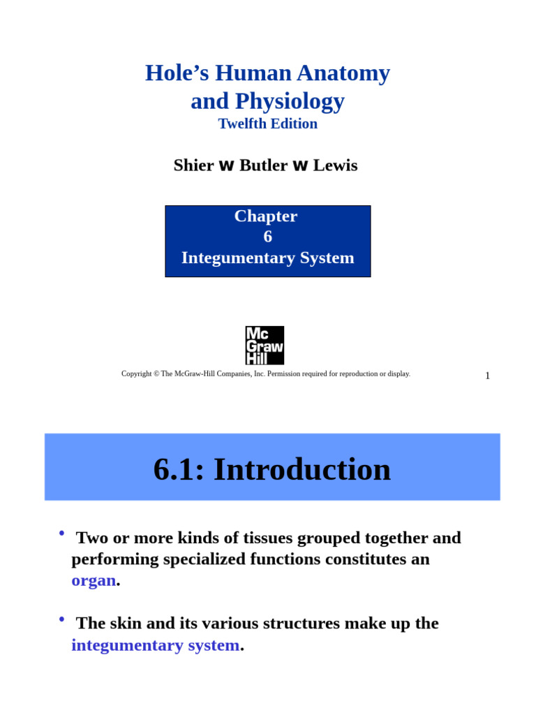 Chapt06 Integumentary System | PDF | Integumentary System | Skin