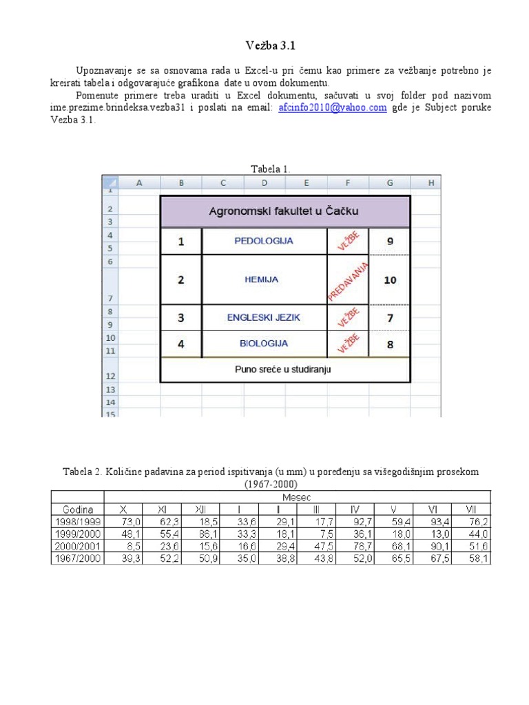 Vezba 3.1 Excel | PDF