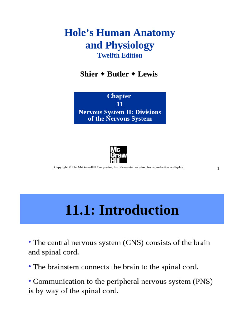 Chapt11 CNS | PDF | Cerebrospinal Fluid | Spinal Cord