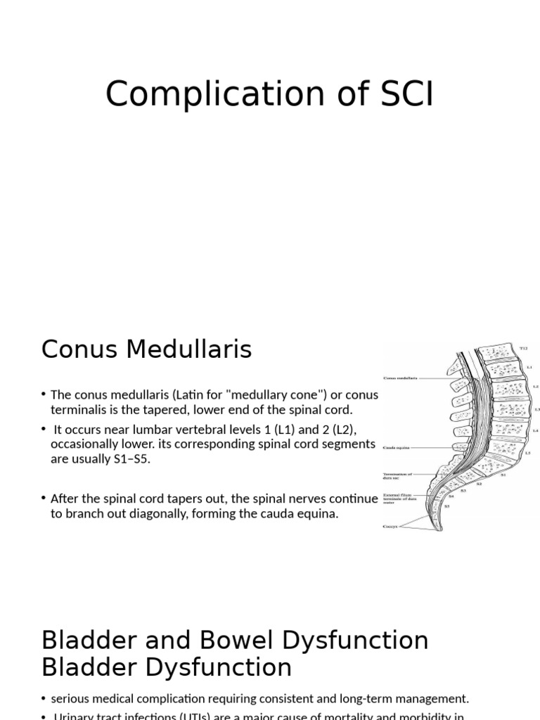 SCI Bladder and Bowel Management | PDF | Spinal Cord | Urination