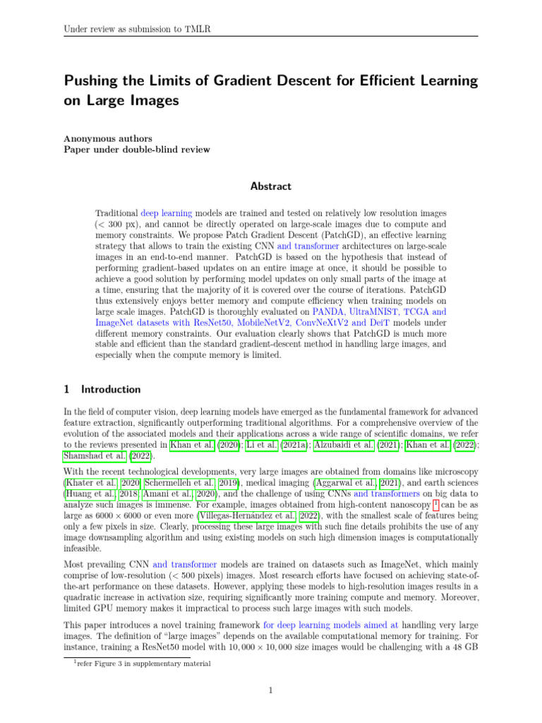 2142 Pushing The Limits of Gradient | PDF | Learning | Computational Neuroscience