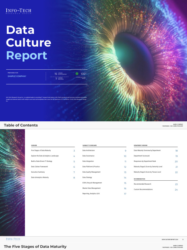 Data Culture Sample Report | PDF | Analytics | Data