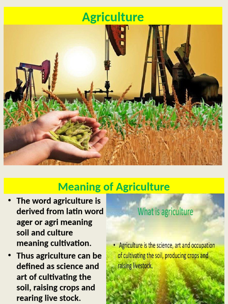 Class 8th-Agriculture | PDF | Agriculture | Intensive Farming