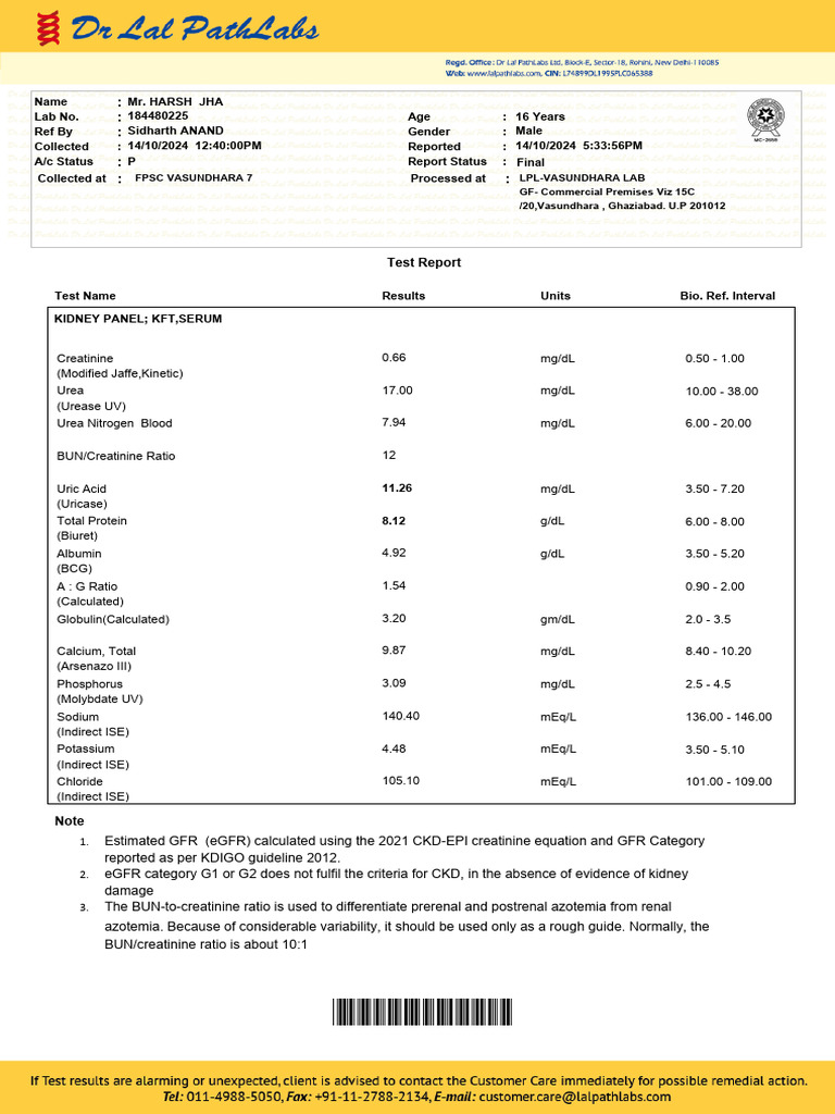 Kidney Function Test Report Summary | PDF | Creatinine | Kidney