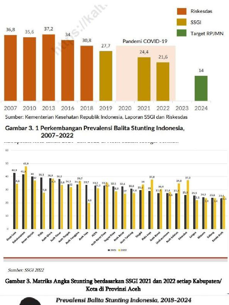 Stunting Indonesia Pdf