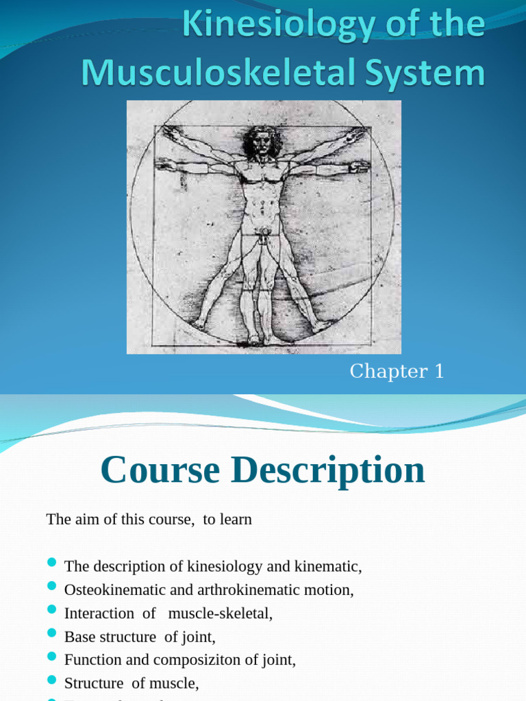 Kinesiology Course Overview and Concepts | PDF | Musculoskeletal System ...