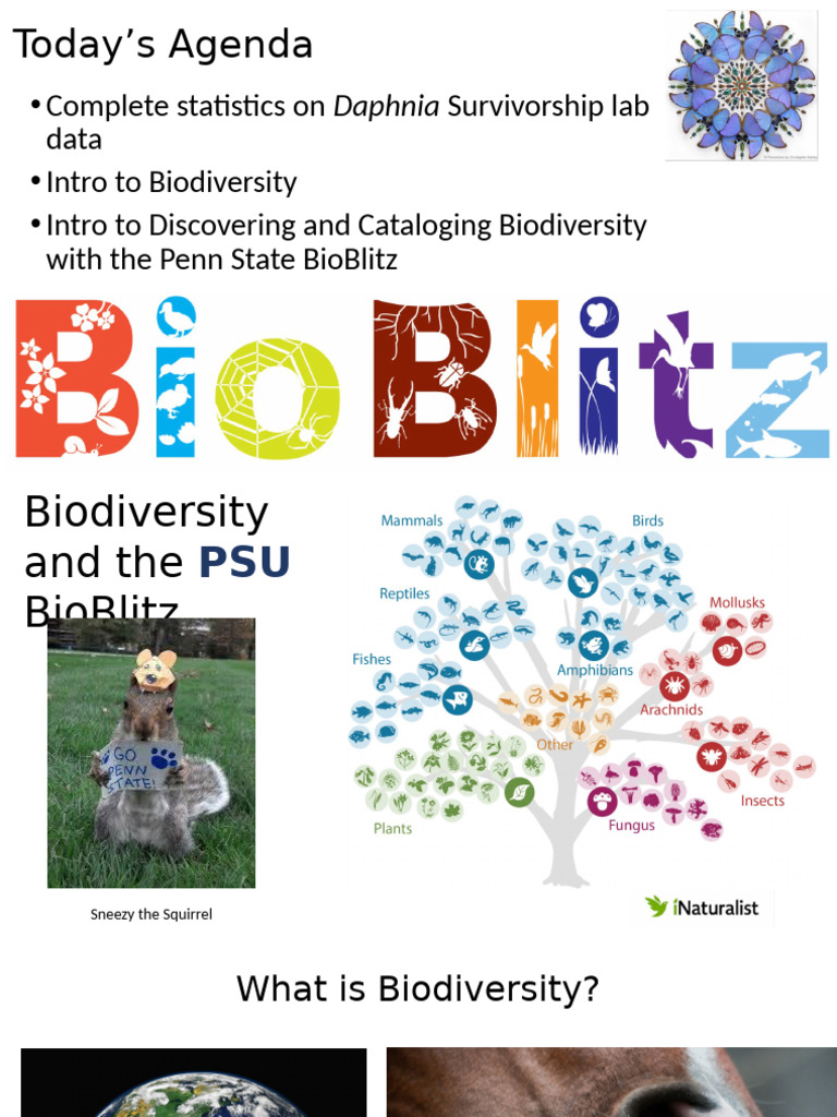 Lab 12 Biodiversity and Intro BioBlitz | PDF | Biodiversity | Eukaryotes