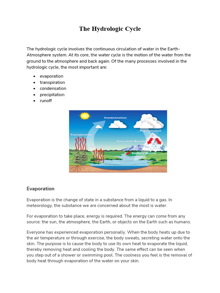 The Hydrologic Cycle Assignment 2 | PDF | Water Cycle | Evaporation