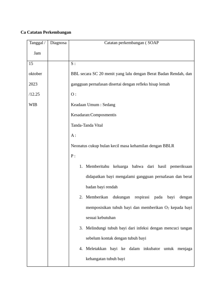Ca Catatan Perkembangan | PDF