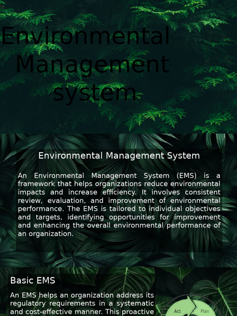 Environmental Management System Overview | PDF | Environmental Impact ...