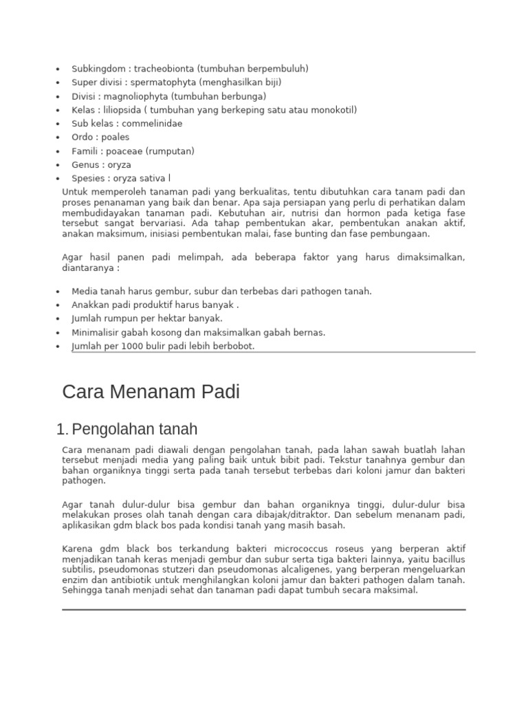 Menanam Padi | PDF