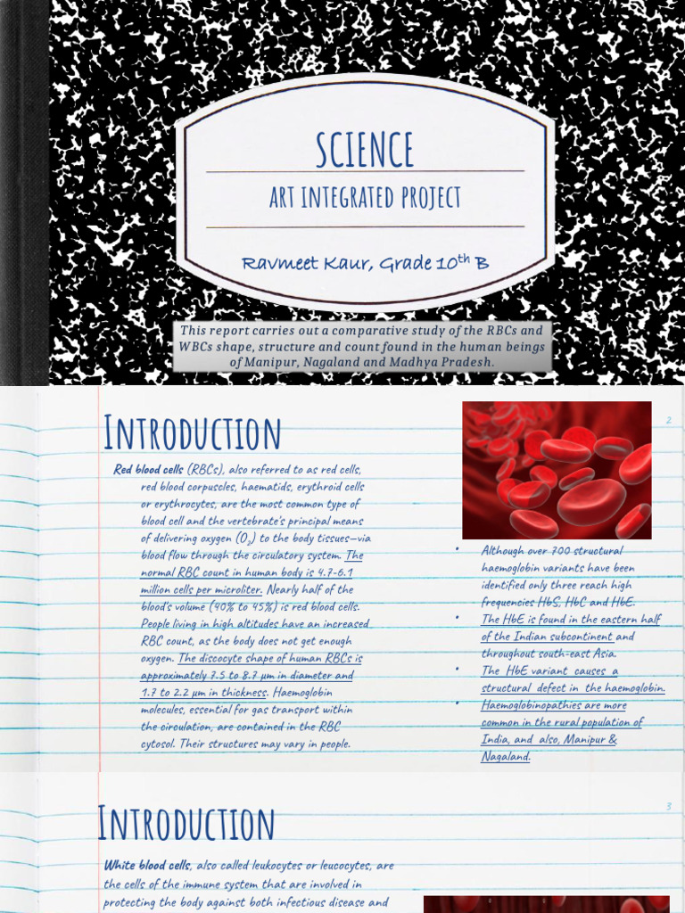 Science Art Integrated Project 10th | PDF | Red Blood Cell | White ...