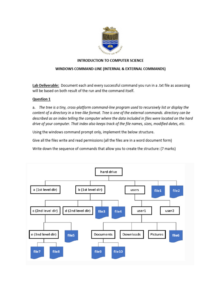 Group Ee Task 1 (Internal & External Commands) | PDF