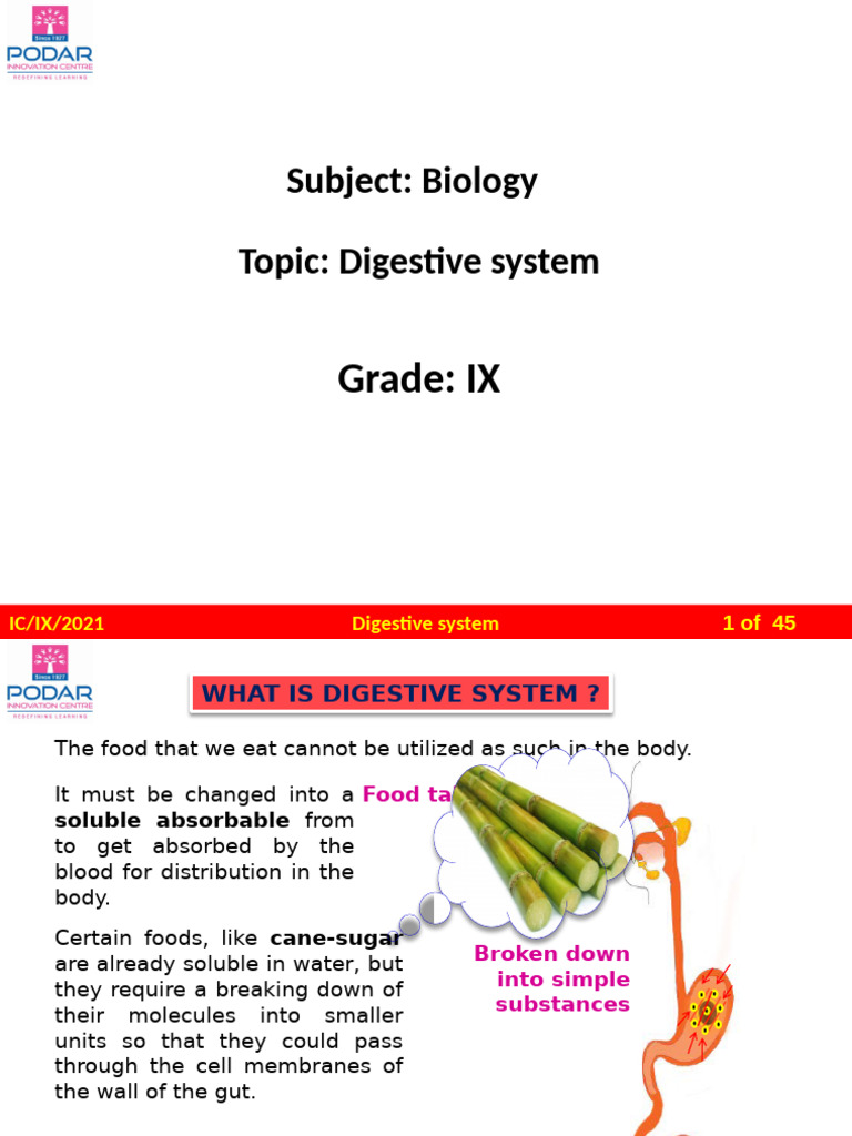 Class 9 ICSE Digestive System Notes | PDF | Digestion | Stomach