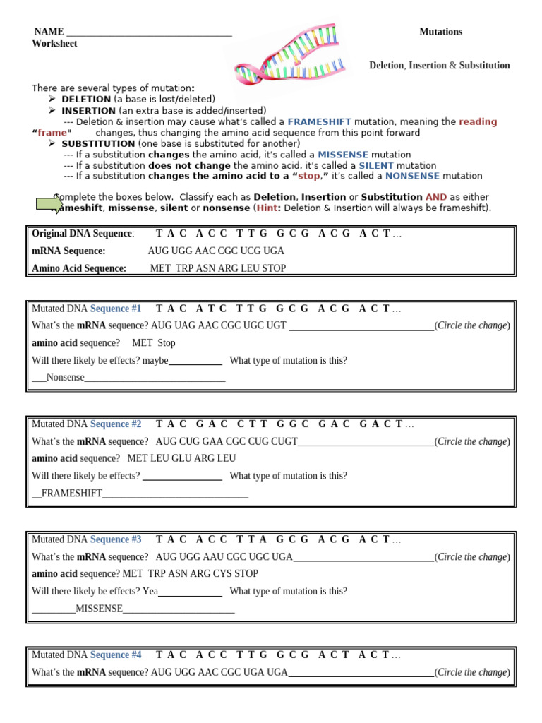 MUTATIONS Worksheet | PDF | Point Mutation | Mutation