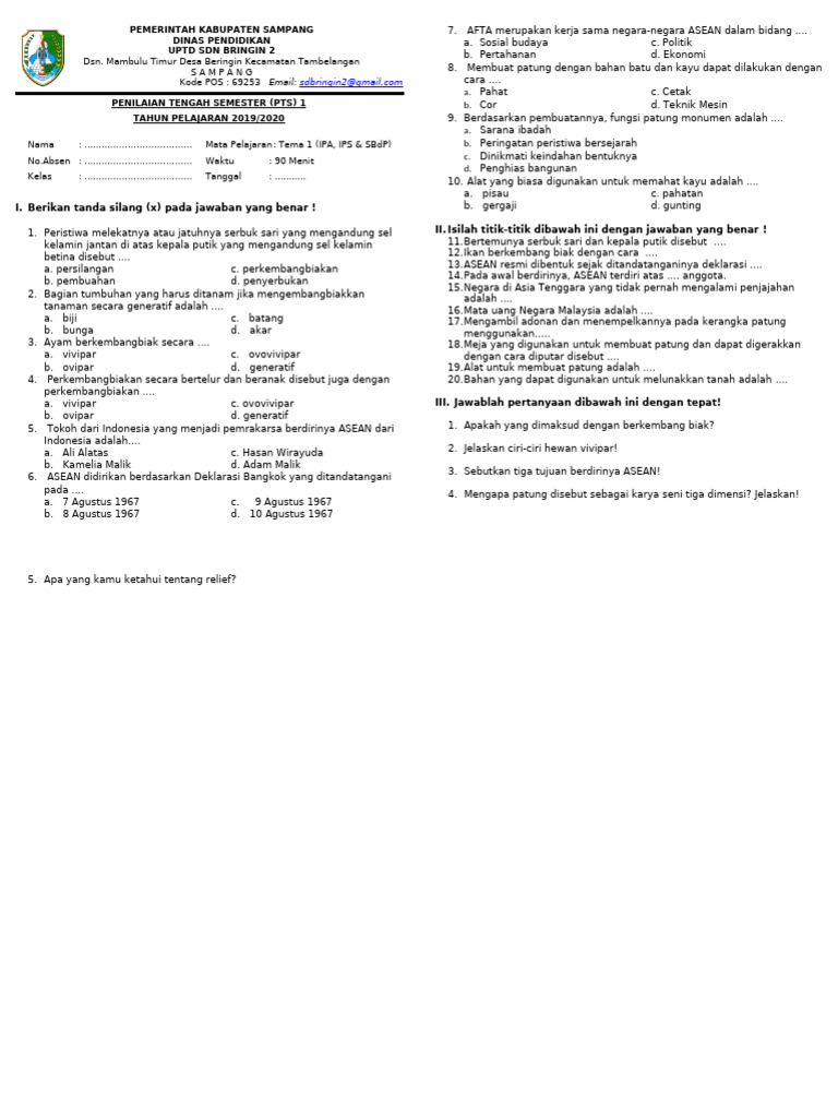 PTS Tema 1 IPA, IPS, SBDP | PDF