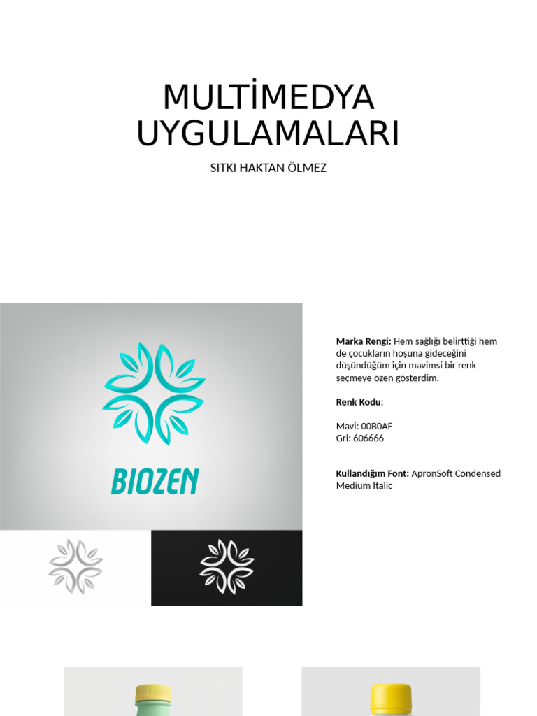 Multimedya Vize Sunum Dosyası | PDF