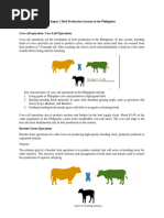 Animal Science Terms | PDF | Chicken | Cattle