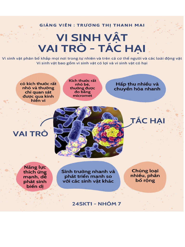 T P Sang VSV 1 | PDF