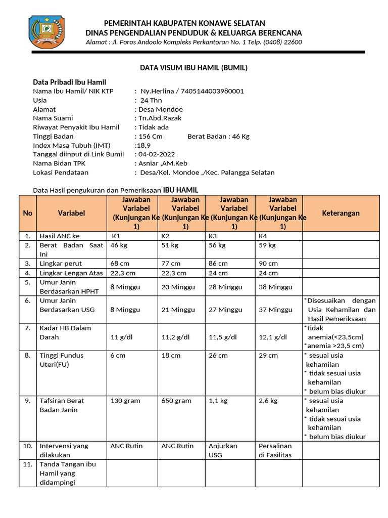 Data Visum Ibu Hamil Konawe Selatan | PDF
