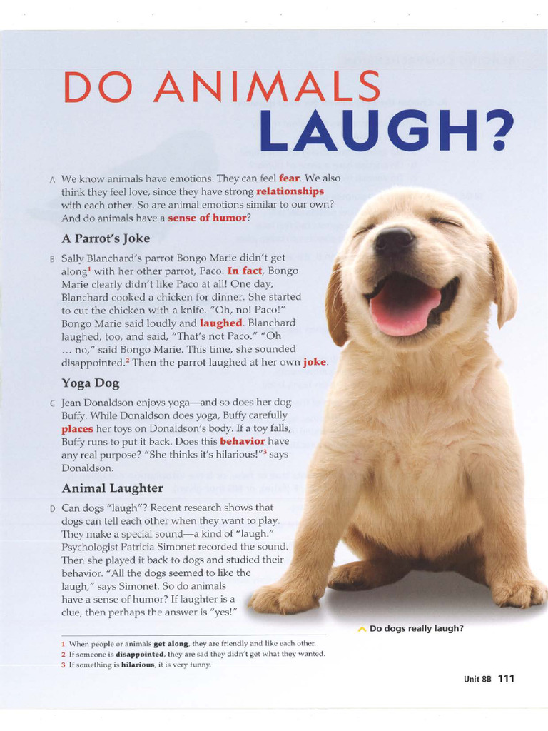 Do Animals Laugh | PDF