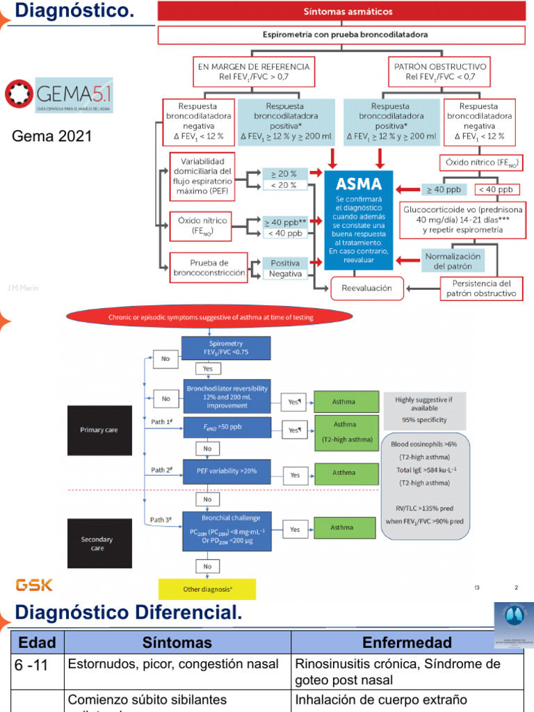 Tema 11B. Asma-2 | PDF | Tos | Asma