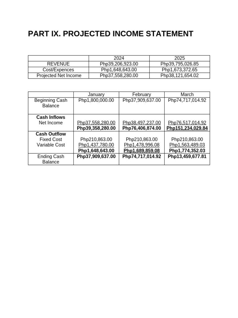 Part Ix. Projected Income Statement | PDF