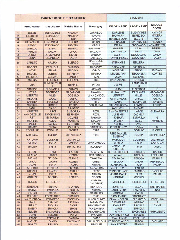 Educational Assistance (AKAP) Ni Cong Wowo Fortes | PDF